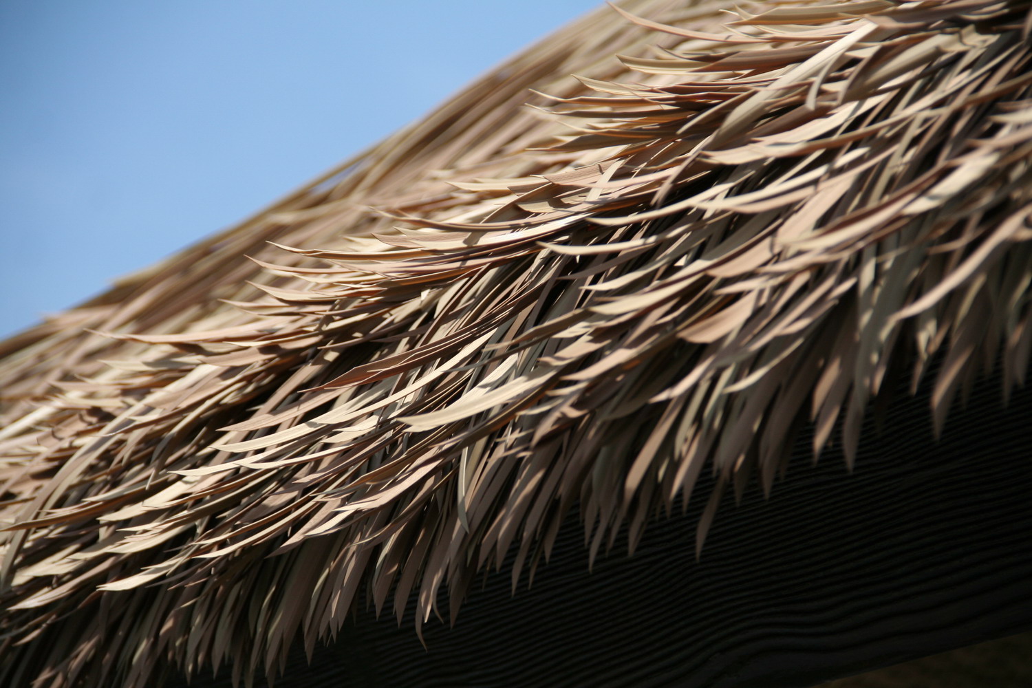 About Us | Viro World